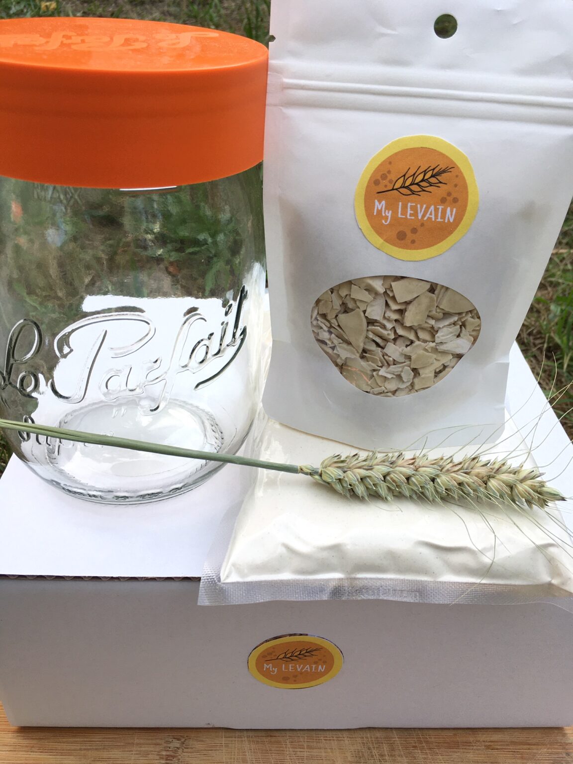 Acheter Levain Naturel : MyLevain, Levain biologique français 100% naturel