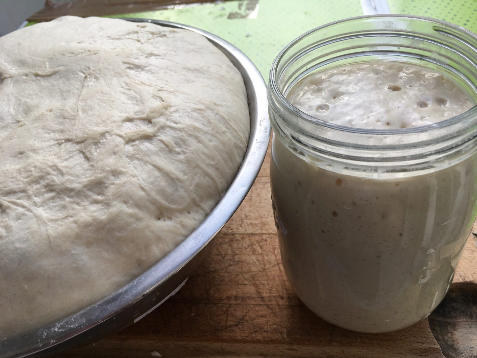 Levain déshydraté 100% naturel Biologique Premium - Millésime 2009