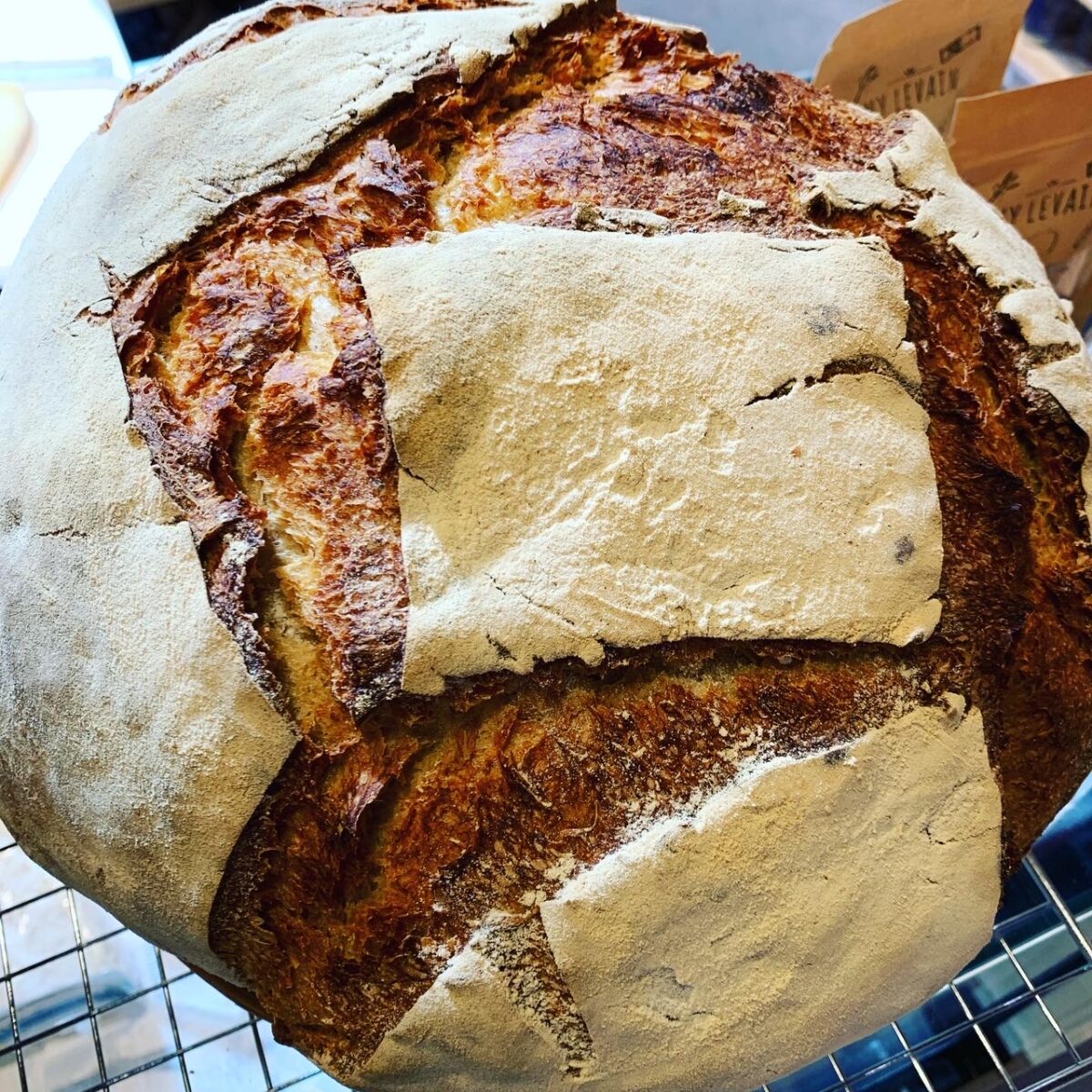MyLevain, Le Levain français biologique 100% naturel - Acheter du levain