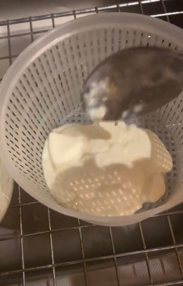 Fromage blanc au Lait Frais Entier Pasteurisé & Levain naturel (sans ...