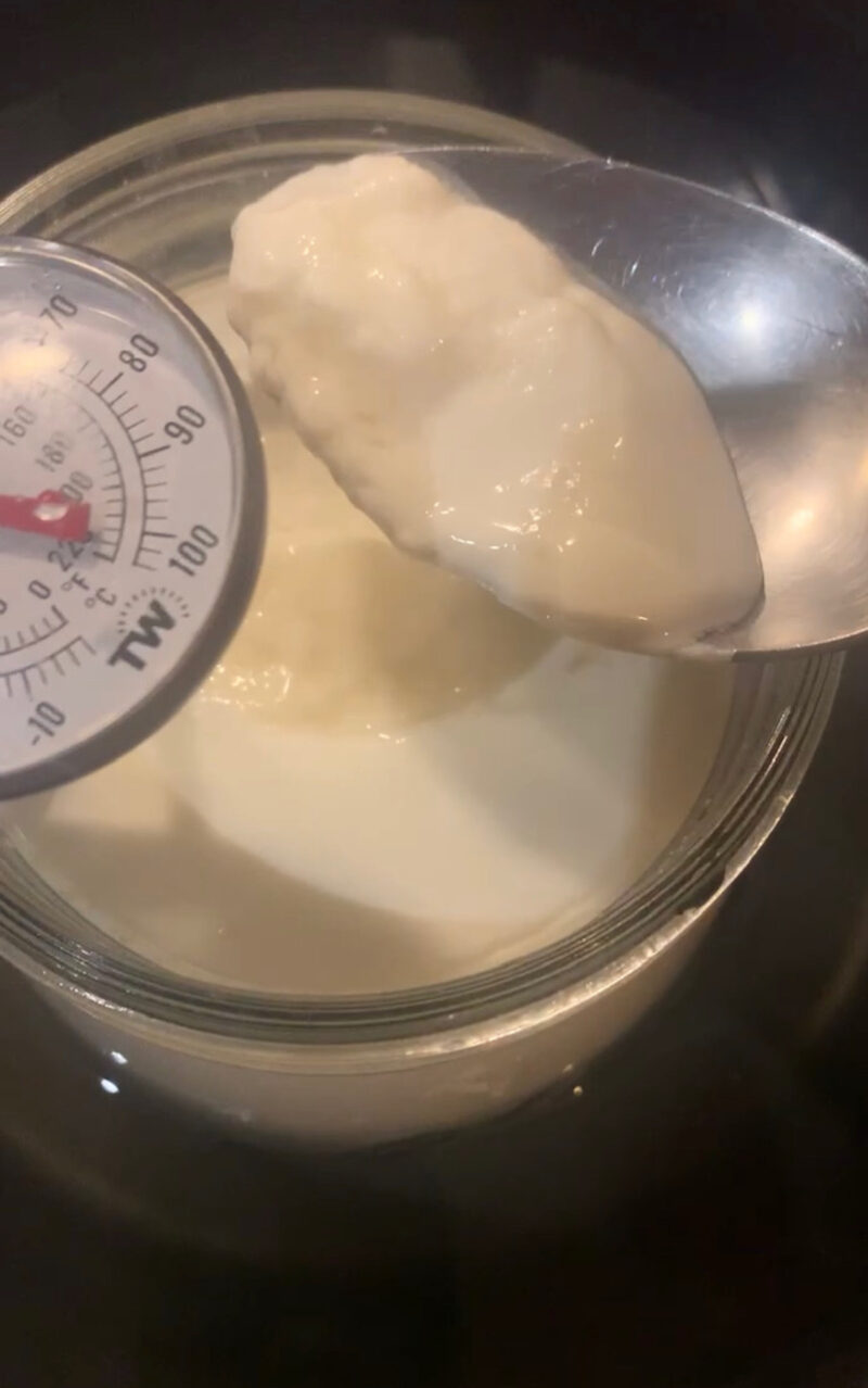 Fromage blanc au Lait Frais Entier Pasteurisé & Levain naturel (sans ...